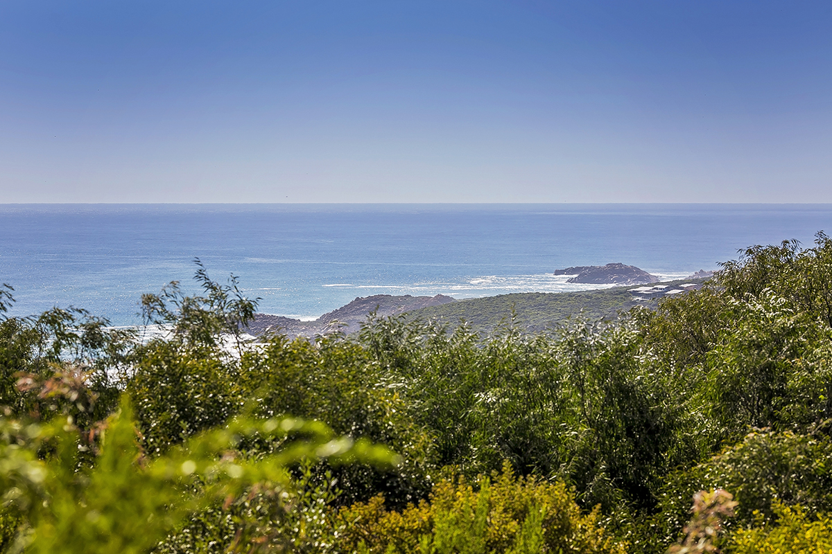 Gallery - Injidup Surf Shack