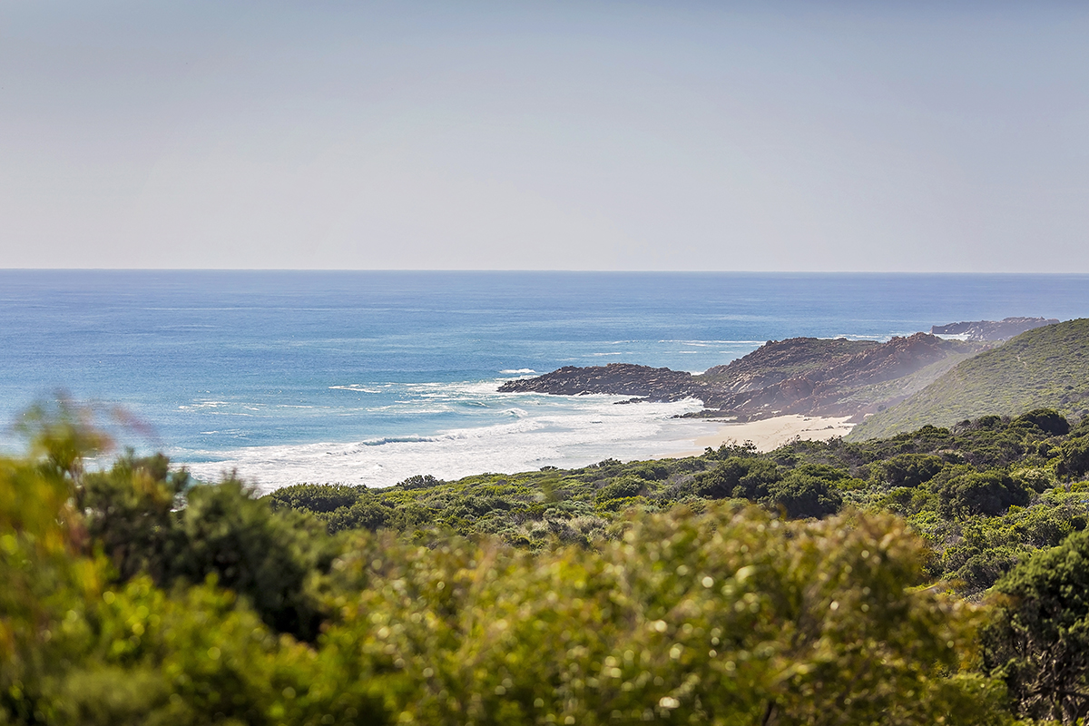 Gallery - Injidup Surf Shack