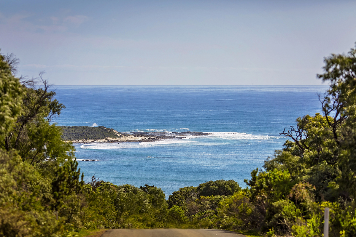Gallery - Injidup Surf Shack