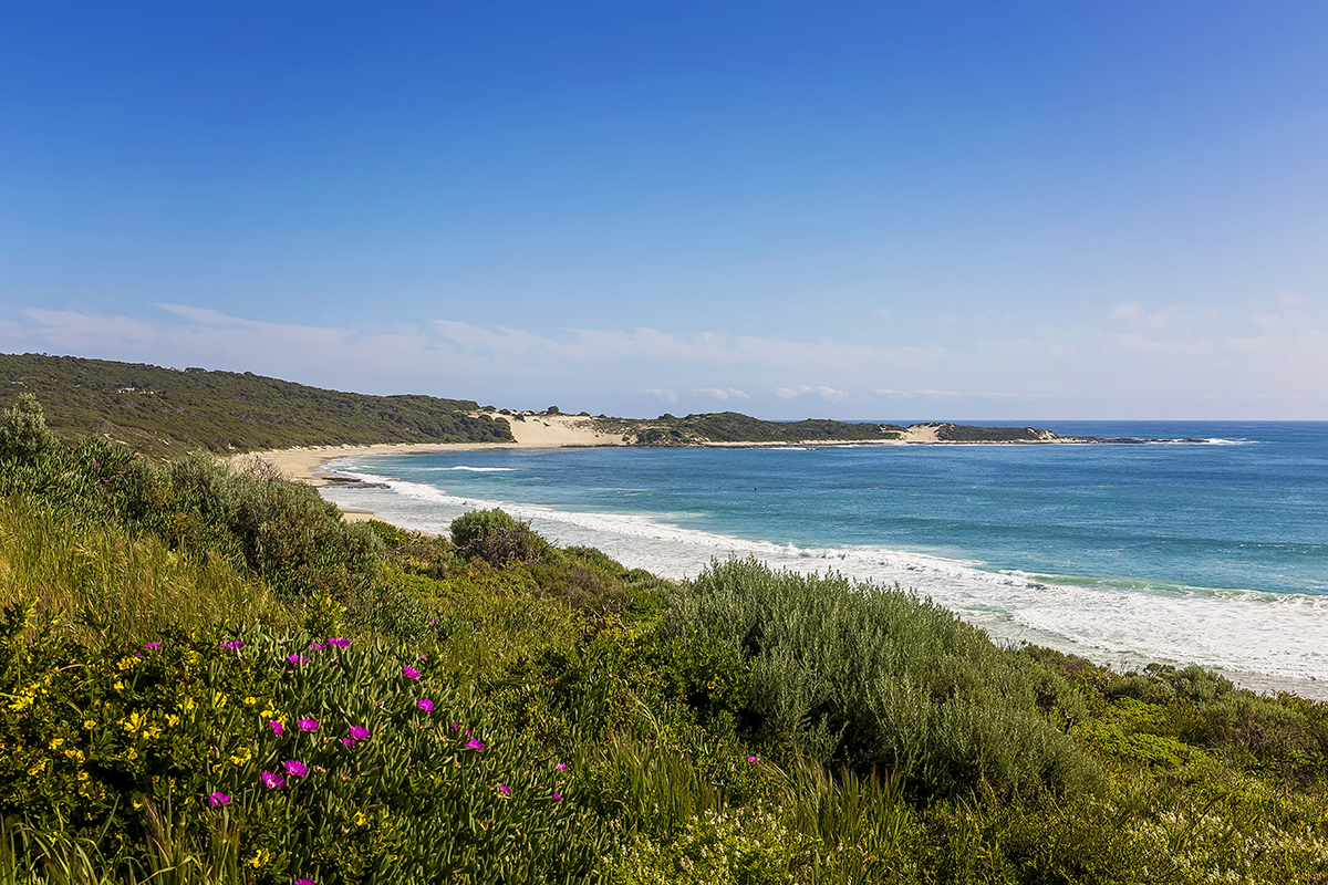 Gallery - Injidup Surf Shack