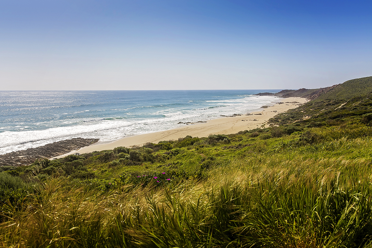 Gallery - Injidup Surf Shack